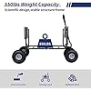 Amazon.com : Polar Aurora Fishing Cart Beach Cart Collapsible Wagon w ...