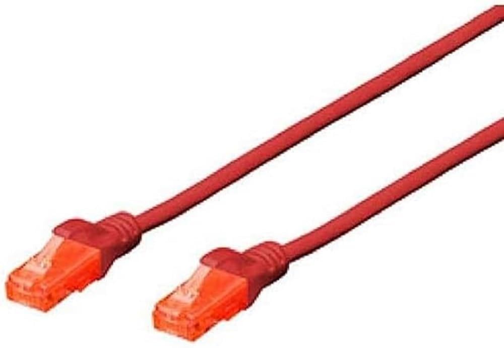 Cat 5e Cable High Speed Cable Cat5 Cable UTP Network Connect LAN Cable ...
