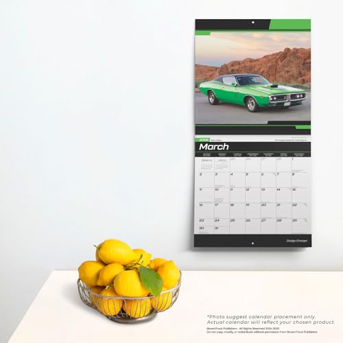 Snapklik.com : Dodge Charger OFFICIAL 2025 12 X 24 Inch Monthly Square ...