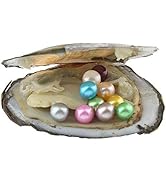 Amazon.com: Cultured Pearls in Oysters,Freshwater Pearl Oysters with ...