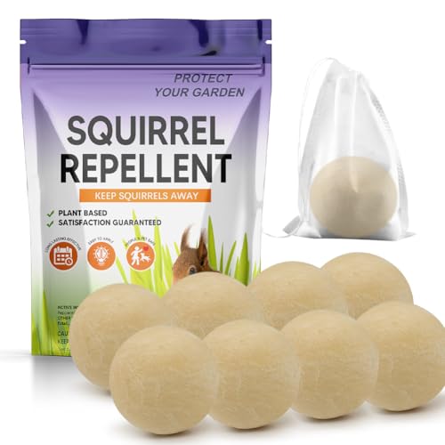How to Repel Squirrels Naturally: 17 Home Remedies: No Traps, Devices ...