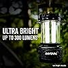 Amazon.com: Rayovac Sportsman LED Camping Lantern, Battery Powered ...