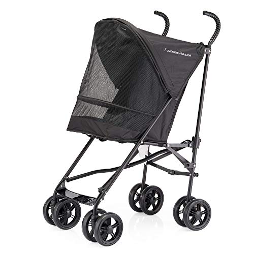 Chicken Stroller: What Kind Should You Get? - Sorry Chicken