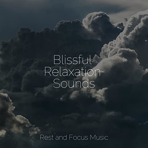 Amazon.com: Blissful Relaxation Sounds : Binaural Beats Brainwave ...
