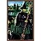 Amazon.com: Trends International Wicked - Elphaba Wall Poster, 34L x 22 ...