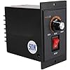 Amazon.com: Walfront AC Motor Speed Controller 220V 50/60Hz Single ...