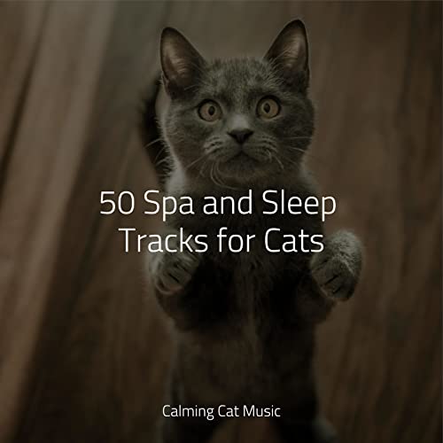 Amazon Music - Cat Music Therapy, Jazz Music Therapy For Cats, Jazz ...