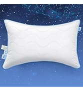 Amazon.com: felo Feather Down Pillows Queen Size Set of 2, CloudFusion ...