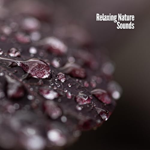 Spiele Relaxing Nature Sounds von Sleep Sounds of Nature auf Amazon ...