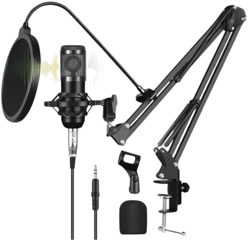 MOCKING BIRD BM800 Condenser Microphone Set Recording Studio Equipment ...