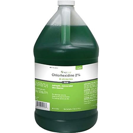 Amazon.com : VetOne Chlorhexidine Antibacterial Body Wash - Aloe Vera ...