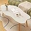 Amazon.co.jp: Sofa Table, 1-Tier Coffee Table, Low Table, Living Room ...