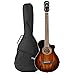 Yamaha APXT2EW TBS 3/4-Size Acoustic-Electric Guitar with Gig Bag ...