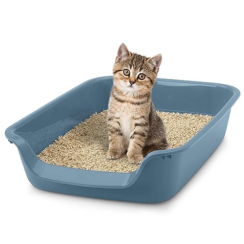 Katzenklo Niedriger Einstieg