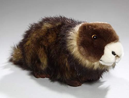 Marmot 9 inches, 23cm, Plush Toy, Soft Toy 3535 – TopToy