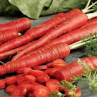 Desi Carrot Gajar Seed : Amazon.in: Garden & Outdoors