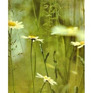 Book Of The British Countryside: Drive Publications: Amazon.com: Books