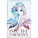 Amazon.com: Trends International Disney Frozen 2 - Into the Unknown ...