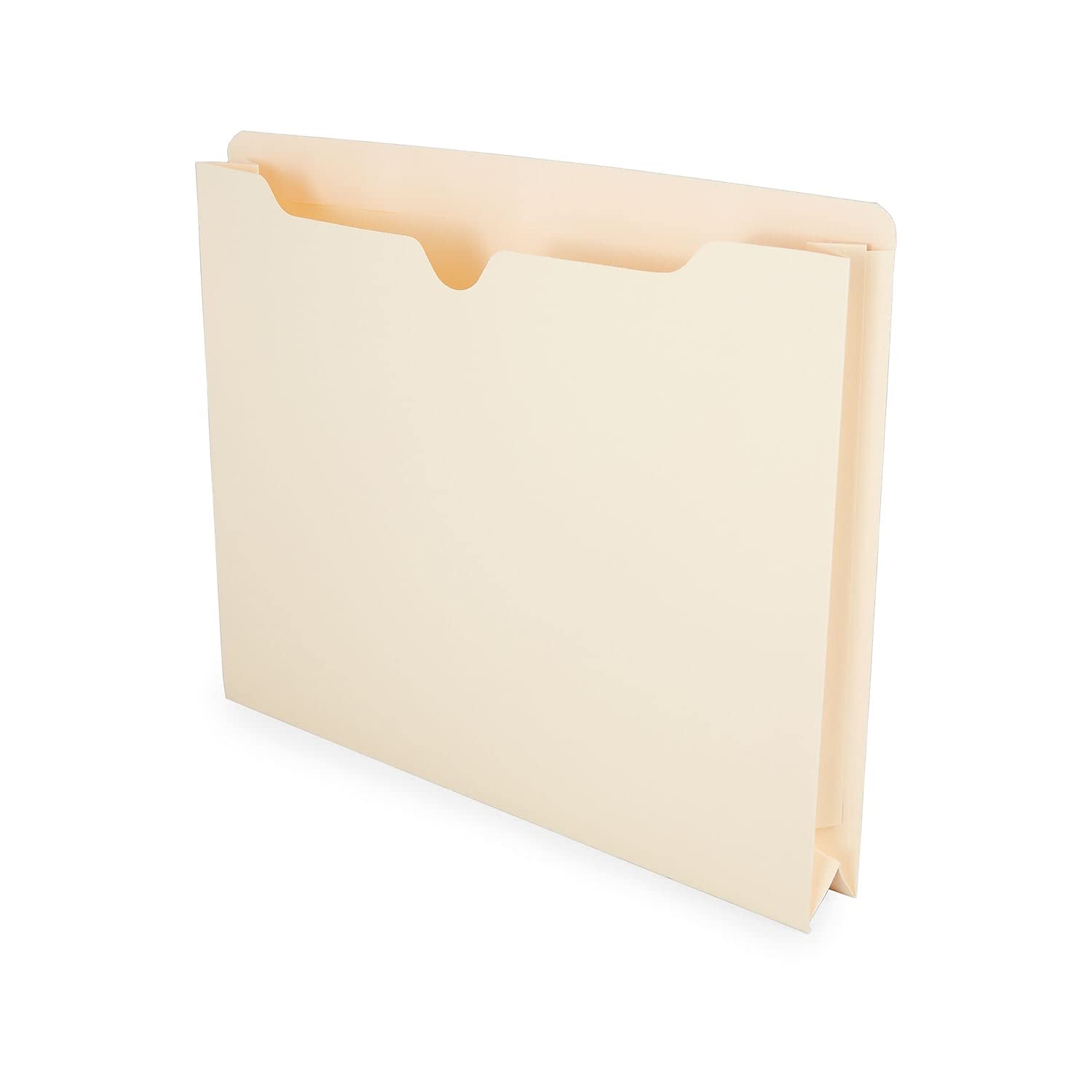Amazon.com : Staples 440373 File Jackets with Reinforced Tab 2-Inch ...