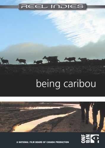 Amazon.com: Being Caribou : Leanne Allison, Diana Wilson, Leanne ...