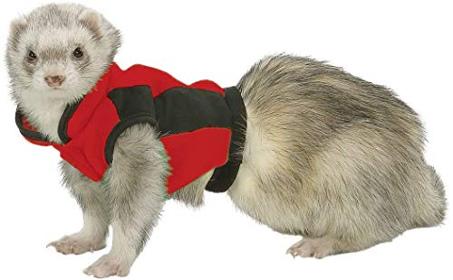 Ropa Para Hurón, Vístelo con lo Último en Moda | Bichos Exóticos