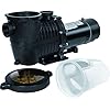 Amazon.com : XtremepowerUS 1.5 HP Variable 2-Speed Swimming Pool Pump ...