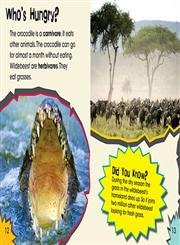 Predator vs. Prey: Mary Meinking: 9781410939425: Amazon.com: Books