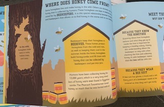 The Bee Book (Conservation for Kids): Milner, Charlotte: 9781465465535 ...