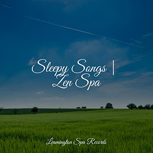 Amazon MusicでDeep Sleep Music Experience, Relax Meditation Sleep ...