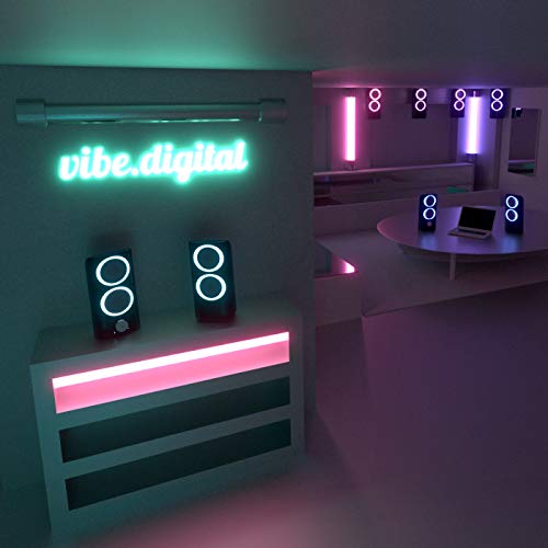 vibe.digital : vibe.digital: Amazon.in: Books