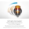 Amazon.com - Dyson Big Ball Turbinehead