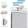 Amazon.com: MYshade Custom Top Down Bottom Up Cellular Shades Blackout Up Down Window Blind ...