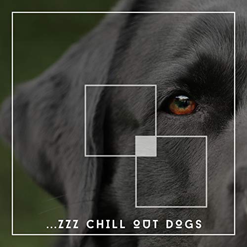 Amazon MusicでDog Chill Out Musicの…Zzz Chill Out Dogsを再生する