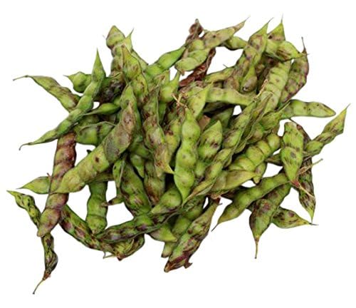 Pluckk Fresh Beans, Togari, 500g : Amazon.in: Grocery & Gourmet Foods