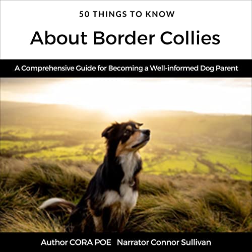 Amazon.com: The Complete Guide to Border Collies: Training, Teaching ...