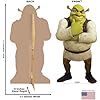 Amazon.com: Shrek Cardboard Cutout Standee - Officially Licensed - 71 ...