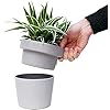 Amazon.com: Suck UK Plant Pots Hideaway Secret Key Hider Secret Safe To ...