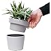 Amazon.com: Suck UK Plant Pots Hideaway Secret Key Hider Secret Safe To ...