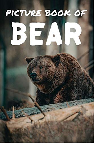 Picture book of bear: Photos of bears - Picture book for kids and more ...