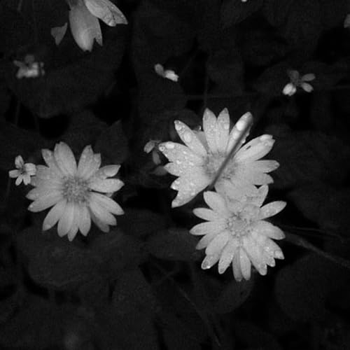 Amazon Music Unlimited - Kapa Boy 『Nostalgia』