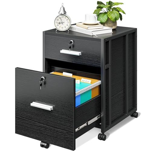 Snapklik.com : AODK File Cabinet For Home Office, Fully Assembled ...