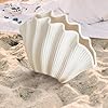 Amazon.com: Seashell Vase, Shell Shaped Vases for Living Room Decor ...