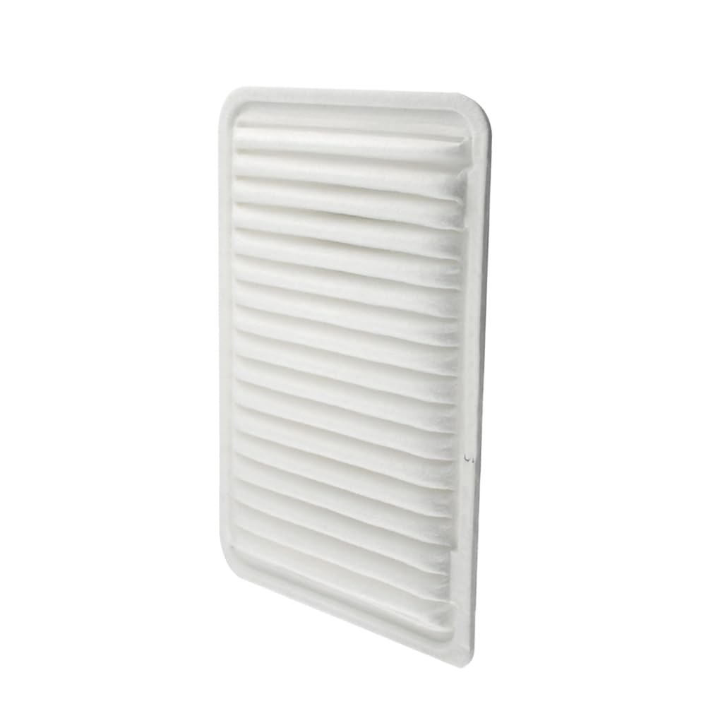 Amazon.com: Apeixoto Engine Air Filter, (CA9360) Air Filter Compatible ...