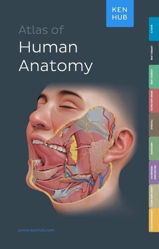 Kenhub Atlas of Human Anatomy: Mike Pascoe: 9783962983185: Amazon.com: Books