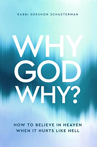 Why God Why: How to Believe in Heaven When it Hurts Like Hell eBook ...