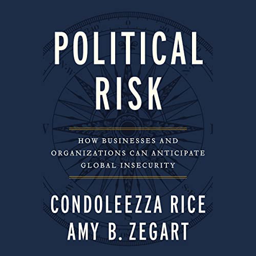 Amazon.com: Political Risk: Facing the Threat of Global Insecurity in ...