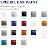 Amazon.com: XTryfun G41 Magnetic Black Touch Up Paint for Nissan, DIY ...