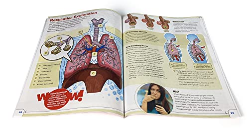 SmartLab Toys Ultimate Squishy Human Body Lab with SmartScan - Want It All