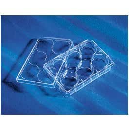 CORNING 3335 Clear CellBIND Multiple Well Plate with Lid, 6 Flat Bottom ...