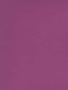 Amazon.com: Canson Mi-Teintes Tinted Paper (Violet) - 19 In. x 25 In. 4 ...